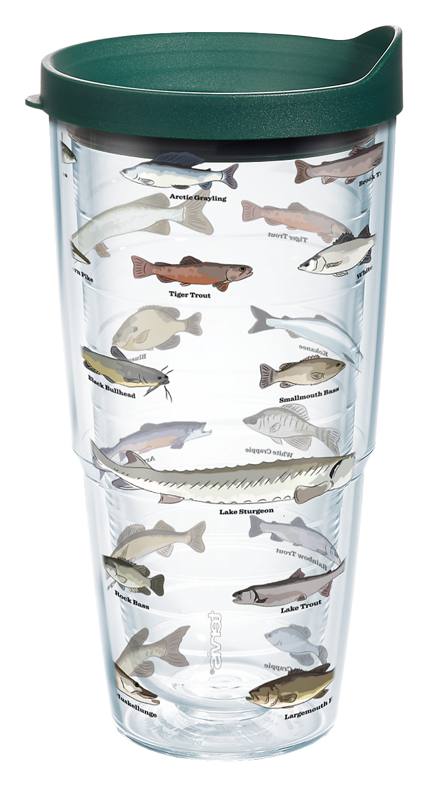 Tervis Tumbler Fish Chart Insulated Travel Mug with Lid | Bass Pro Shops